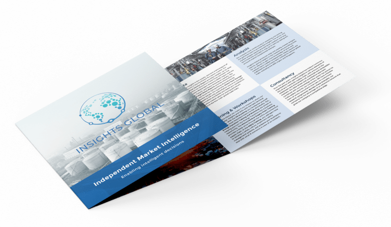 Insights Global Company Brochure - Insights Global